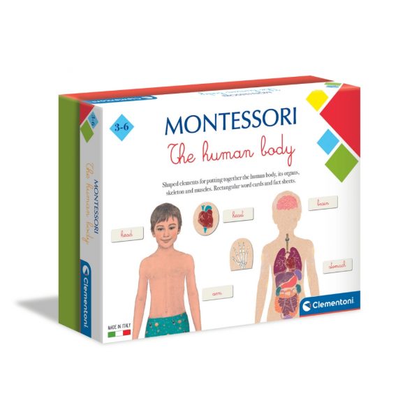 Montessori Human Body – Science Kits SG