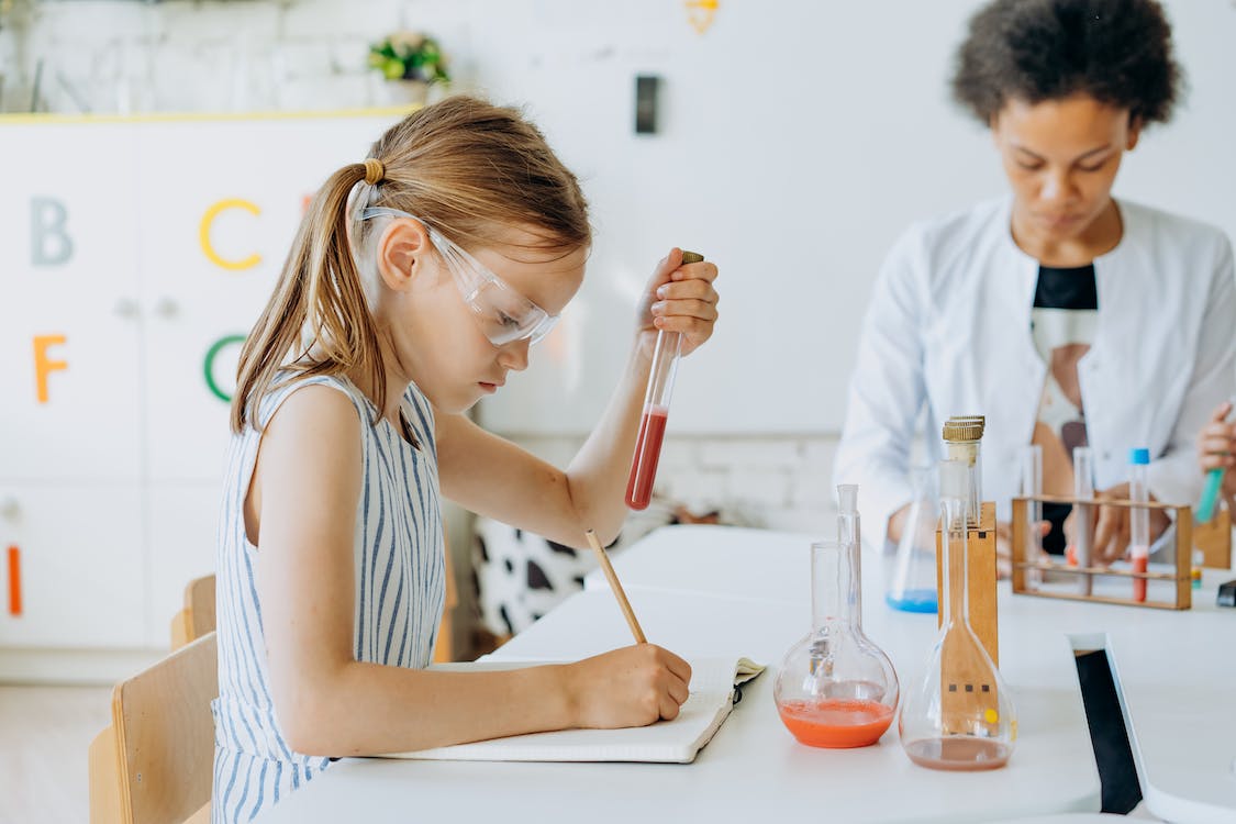 From Curiosity to Discovery: The Ultimate Guide to Science Kits ...