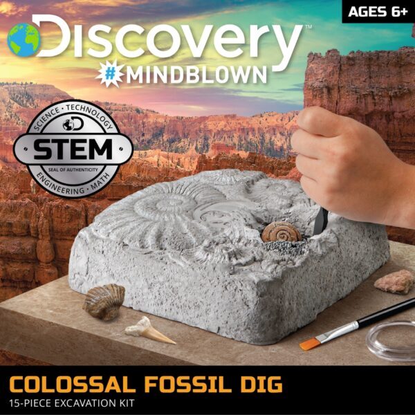 Colossal Fossil Dig – Science Kits SG