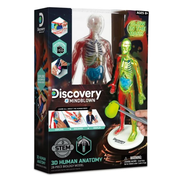 3D Human Anatomy – Science Kits SG