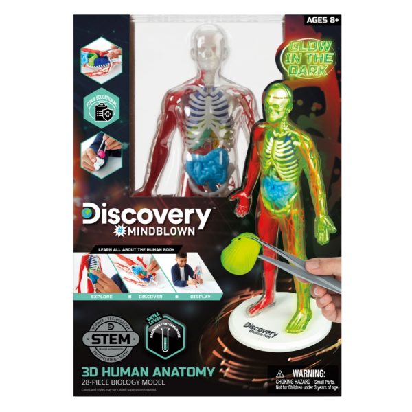 3D Human Anatomy – Science Kits SG