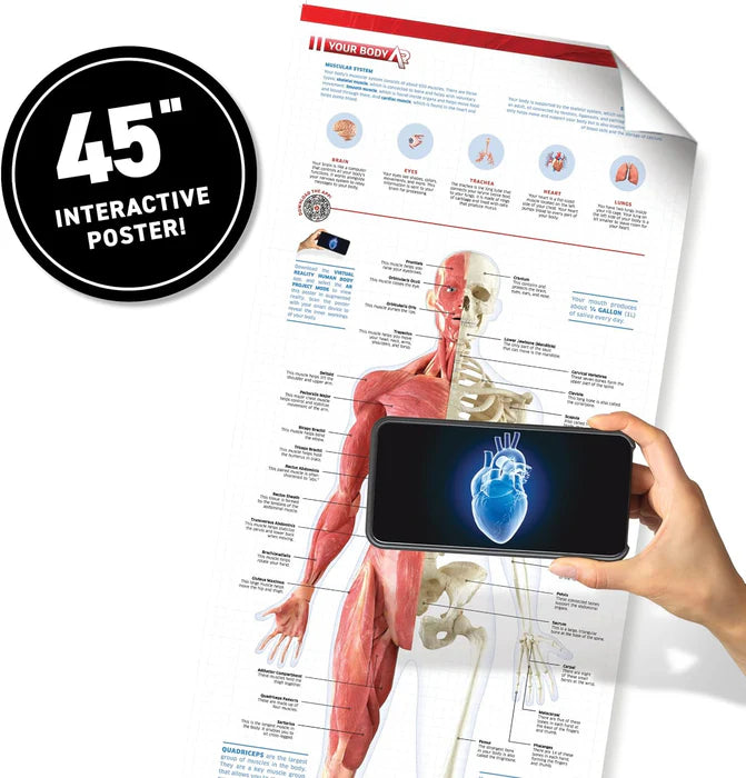 VR Gift Box - Human Body – Science Kits SG