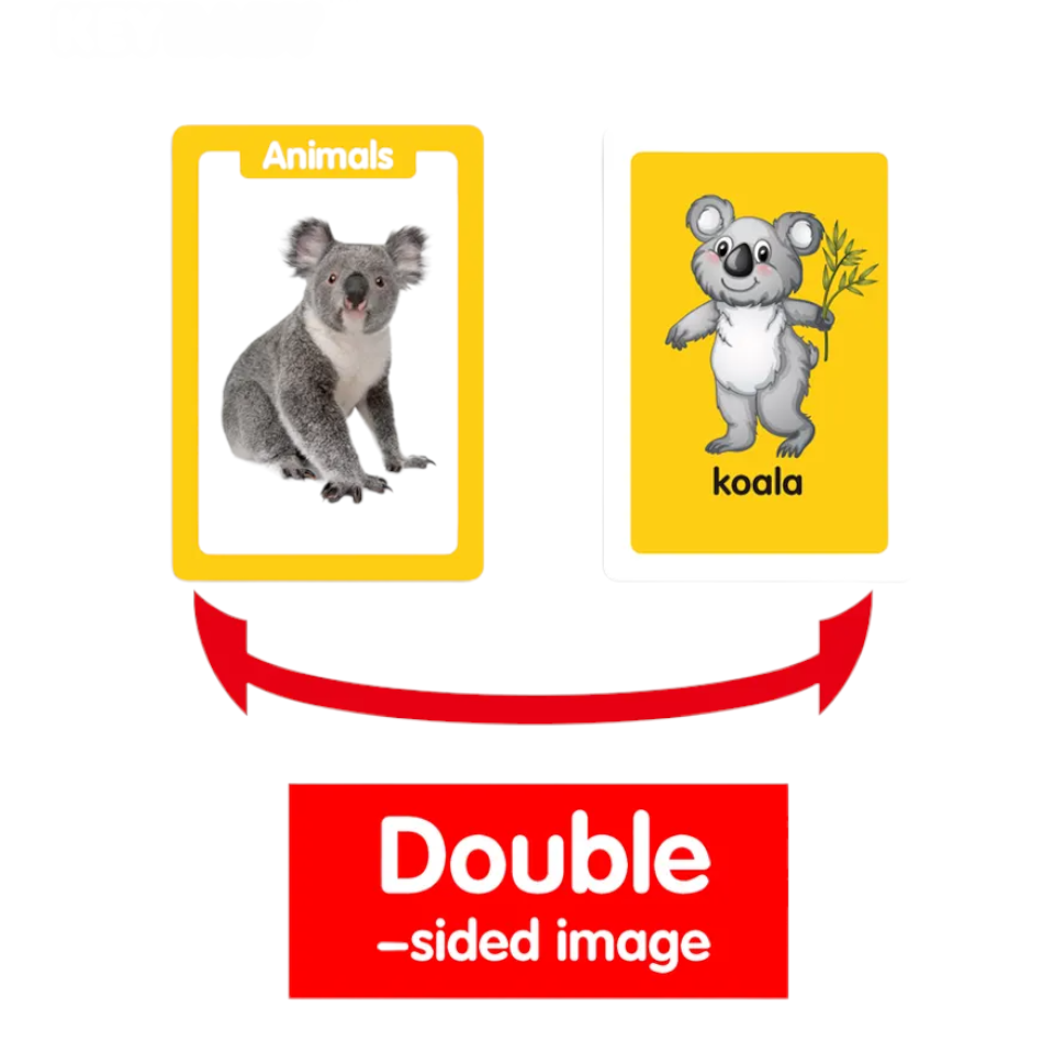 KeyBaby - Pocket Flashcards – Science Kits SG