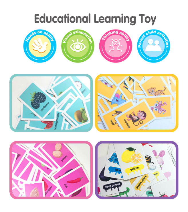 Pocket Flashcards (Bundle) – Science Kits SG