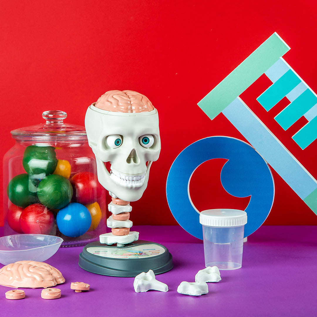 Crazy Anatomy Lab – Science Kits SG