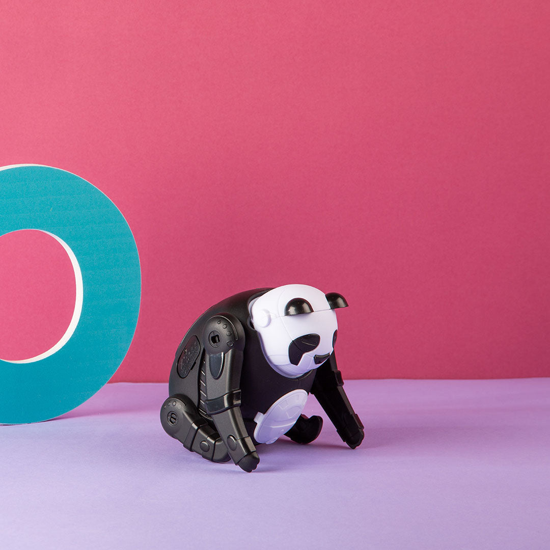 Rolling Bot (Panda Robot) – Science Kits SG