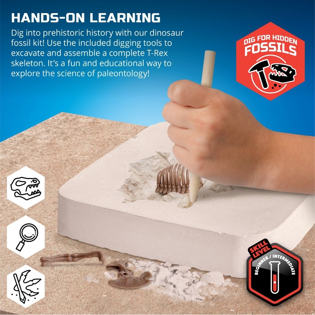 Dinosaur Fossil Dig (Tyrannosaurus Rex Excavation Kit) – Science Kits SG