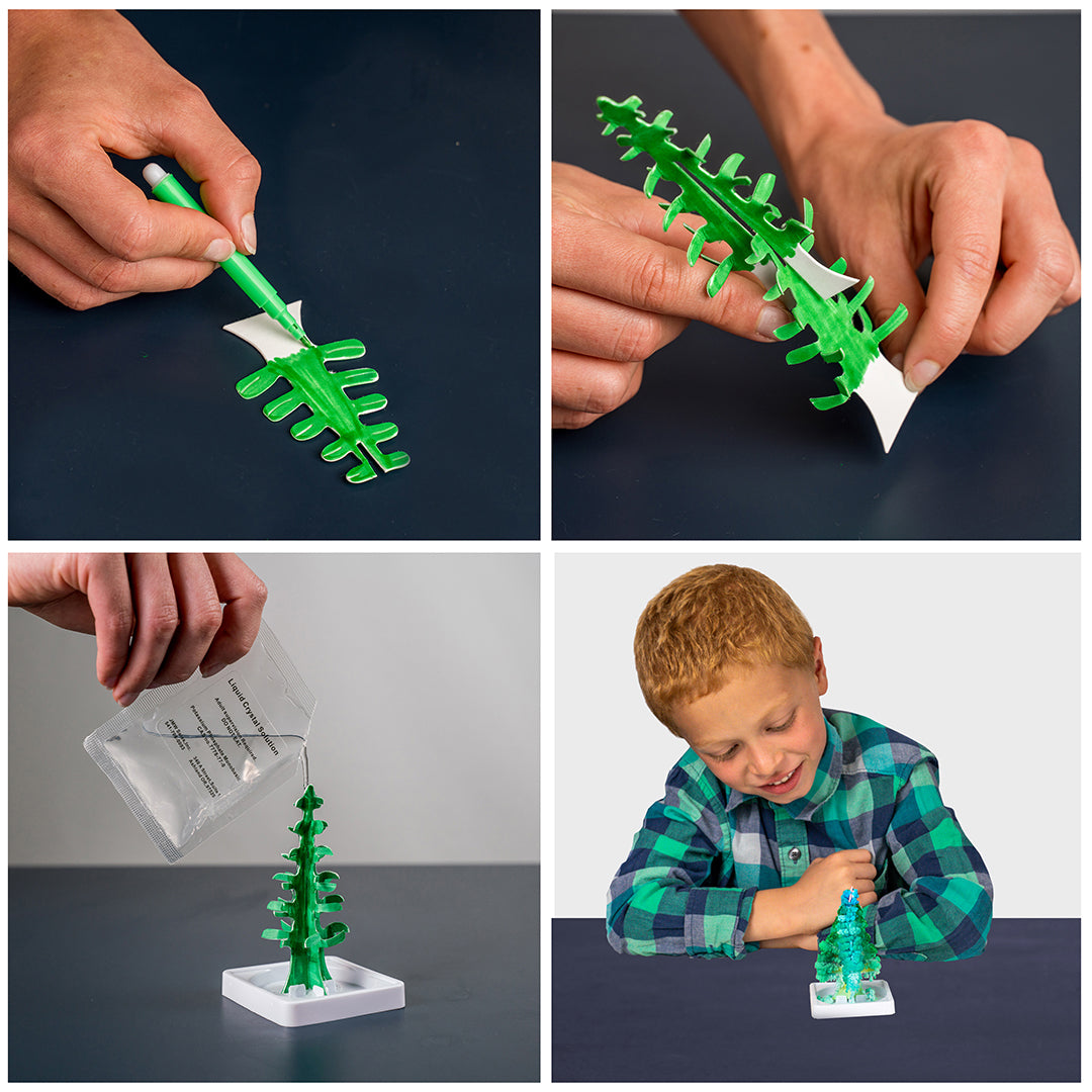 National Geographic Crystal Garden – Science Kits SG