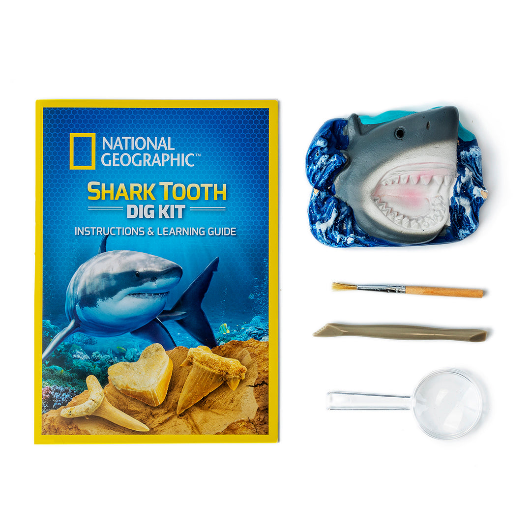 National Geographic Shark Teeth Dig Kit – Science Kits SG